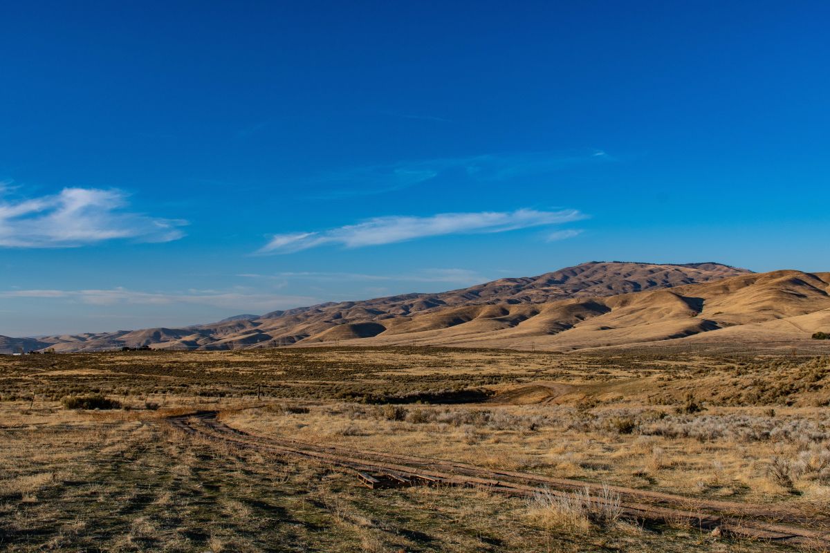 Whole Body Wellness | Modalities